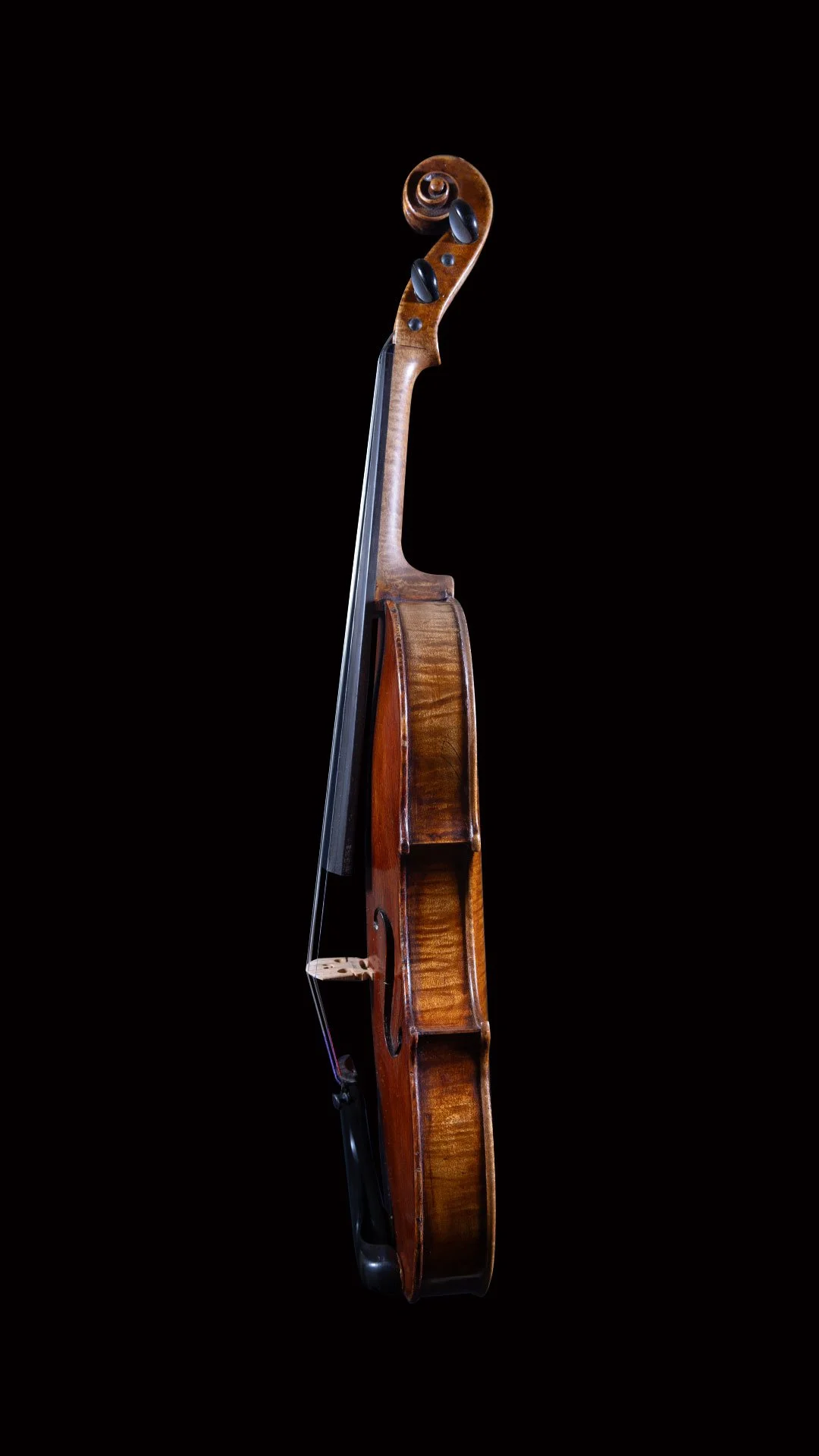 Pistucci Labelled Northern Italian Violin — Vermont Violins