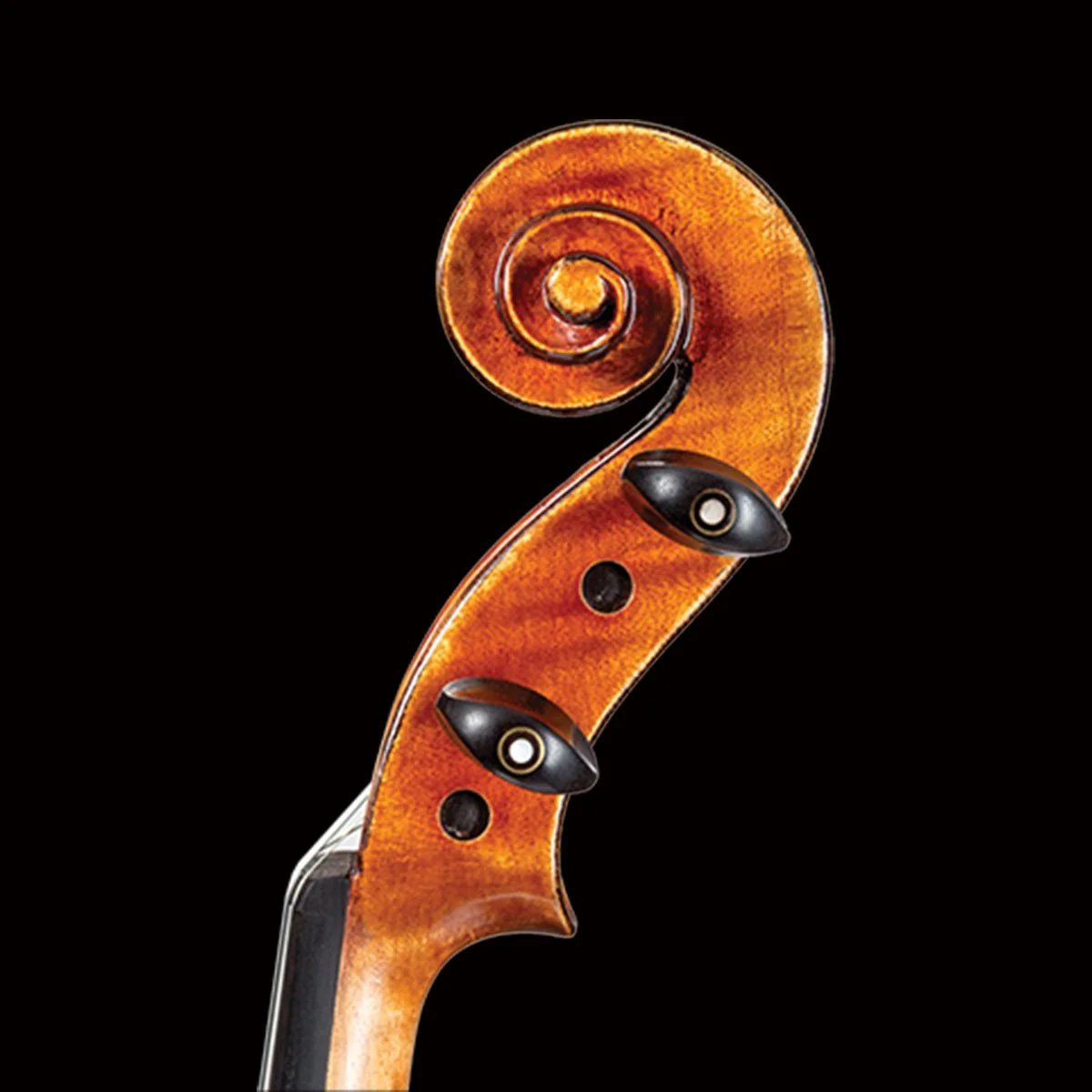 CS 2000 EMILIANI - Howard Core Select Violin — Vermont Violins