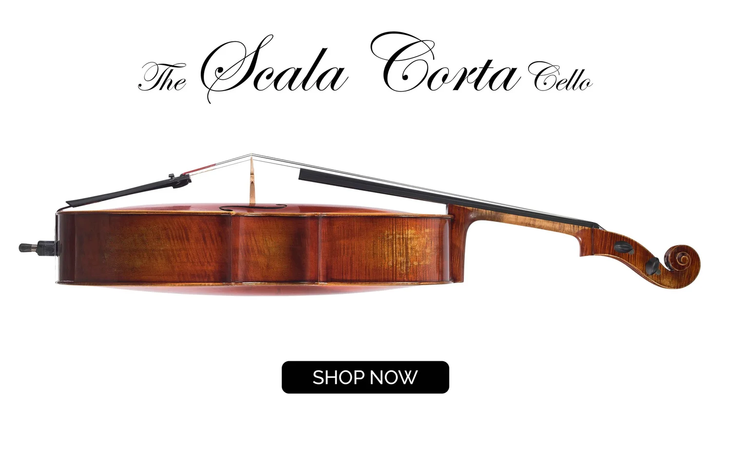Cello Sale & Rent - Wide Selection of Cellos — Vermont Violins