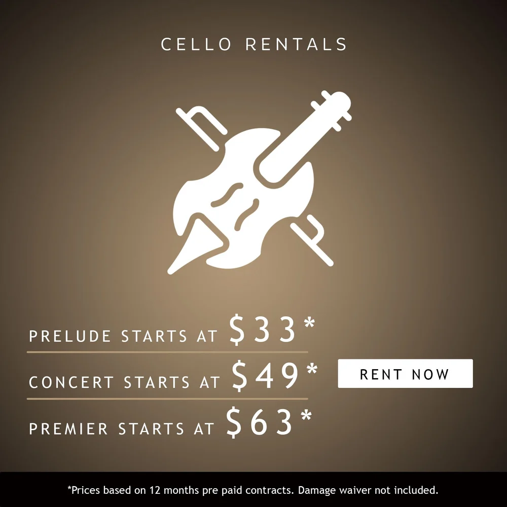 30+ Years of Excellence: High-Quality Violin, Viola, Cello, Bass ...