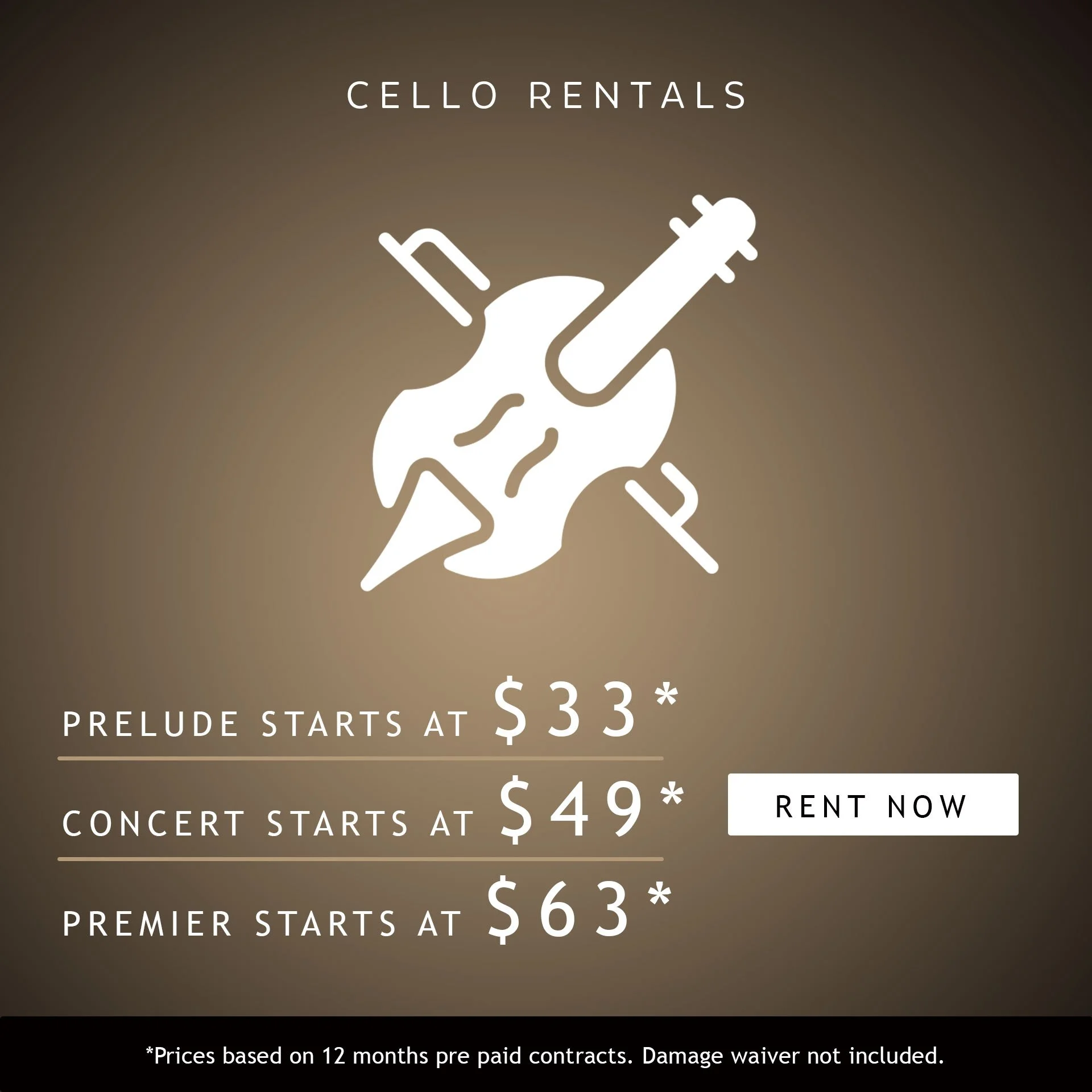 30+ Years of Excellence: High-Quality Violin, Viola, Cello, Bass ...