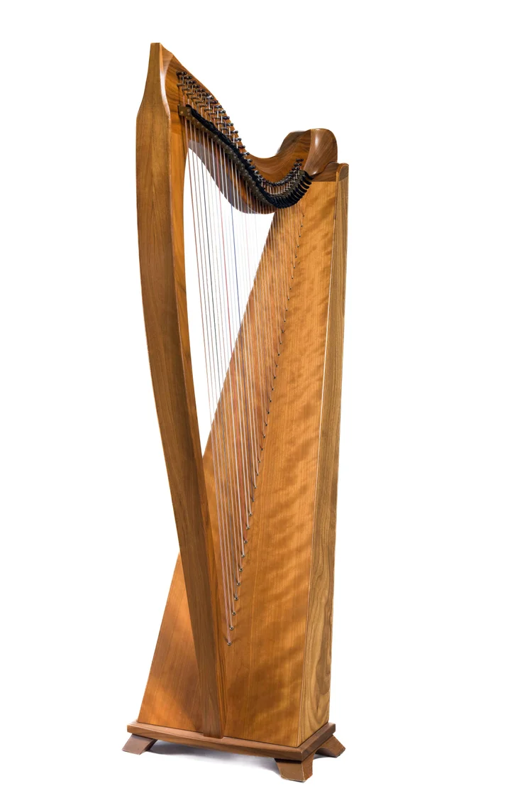 Pre-Owned Harps For Sale — Vermont Violins