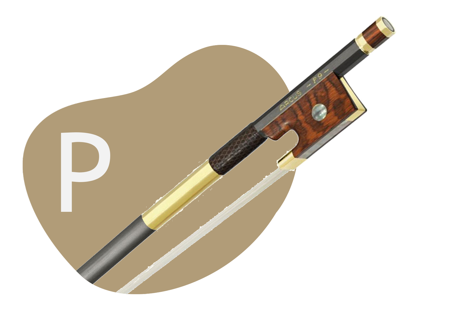 Arcus Bows For Violin Viola and Cello — Vermont Violins