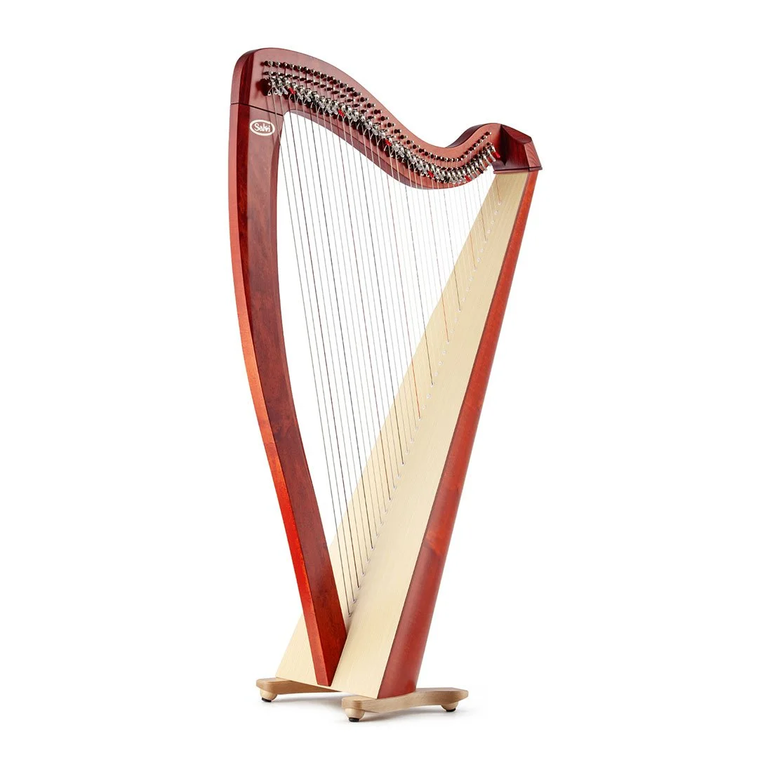 Salvi Harps For Sale - Buy or Rent, Financing Available — Vermont Violins