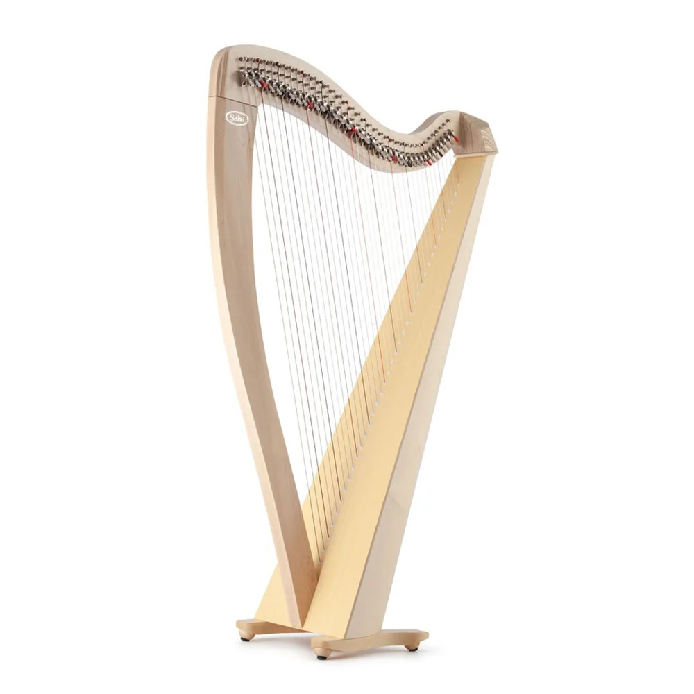 Salvi Harps For Sale - Buy or Rent, Financing Available — Vermont Violins