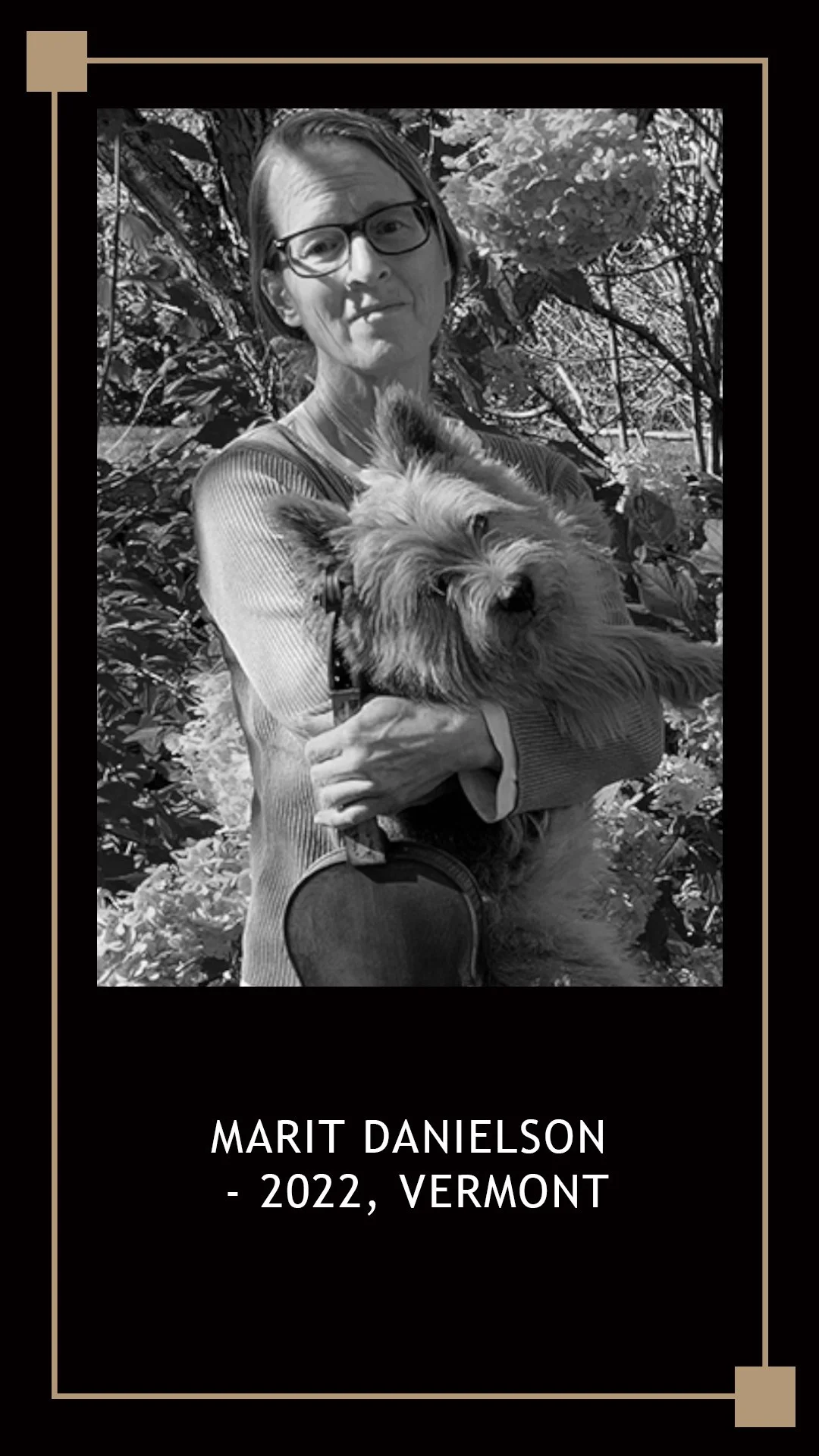 Violins $10000+ — Vermont Violins