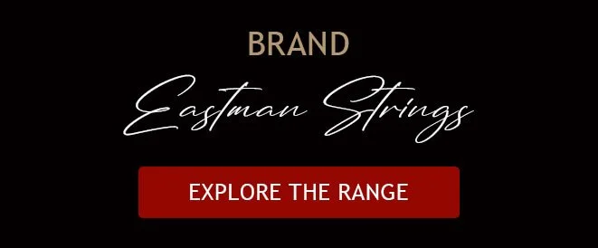 Premium Violins for Sale | Expert Setup & In-Home Trials — Vermont Violins