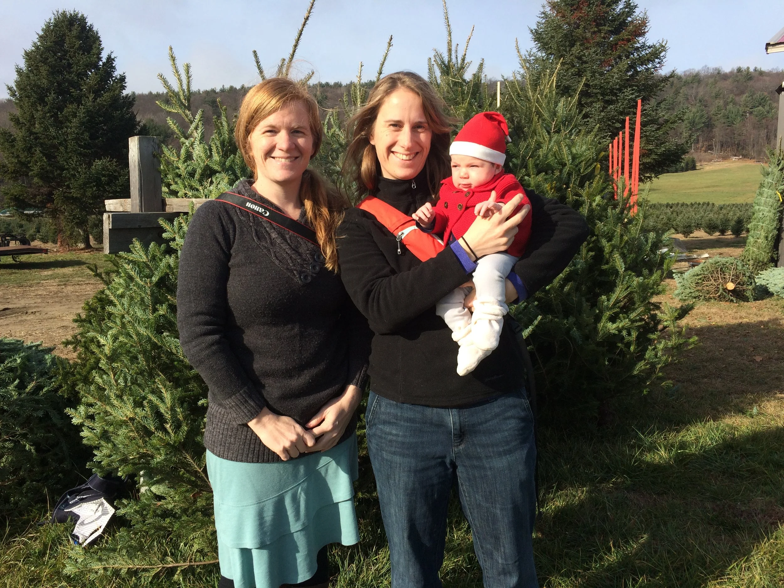 Chestnut Mountain Christmas Tree Farm