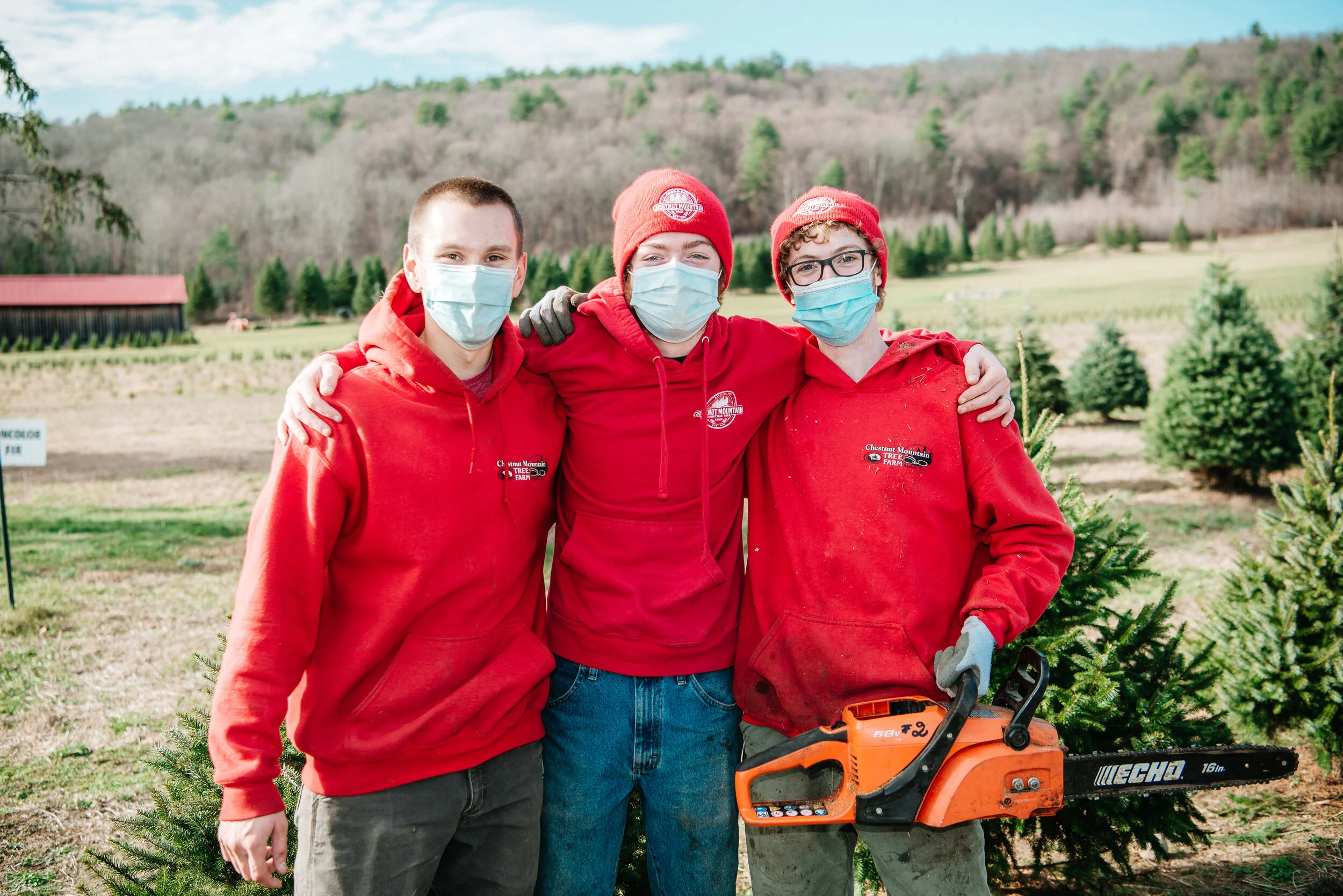 Chestnut Mountain Christmas Tree Farm