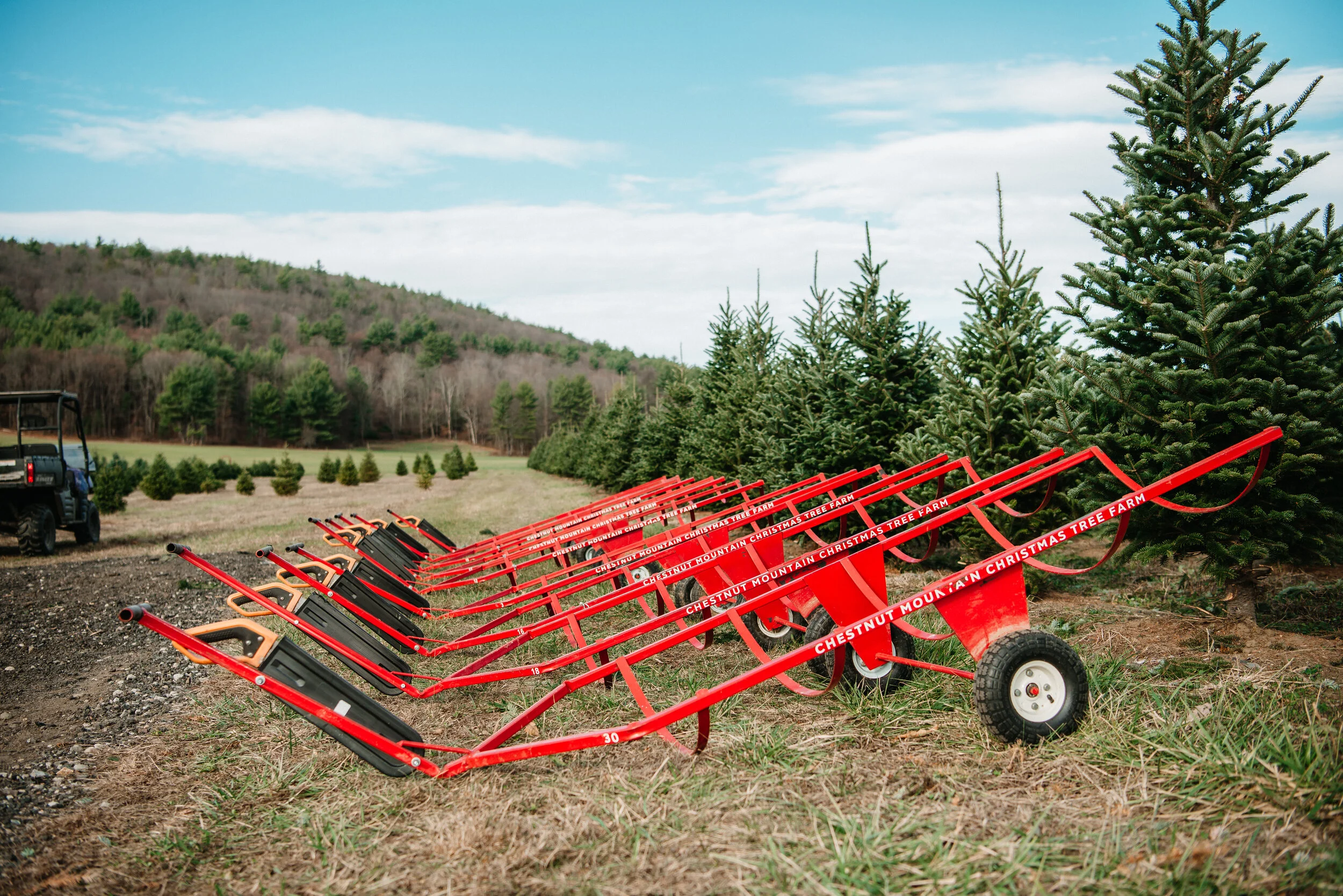 Chestnut Mountain Christmas Tree Farm