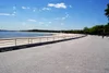 12 Things to Do in The Bronx | Dom N' The City