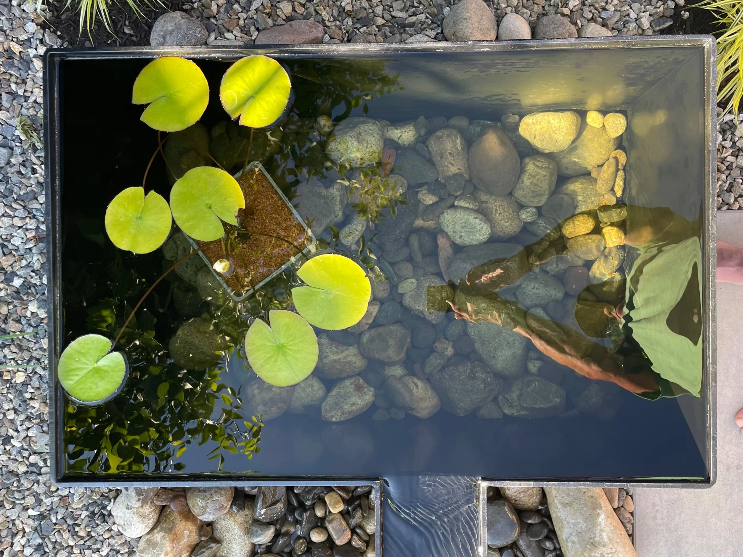 Landscape Design Tips: Adding a Small Water Feature! — Nokomis ...