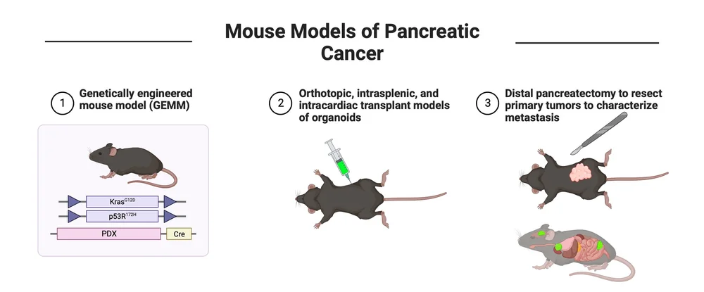 Our Toolbox — Chio Laboratory