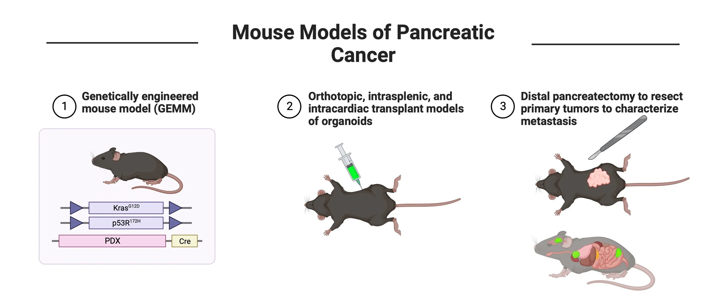 Our Toolbox — Chio Laboratory