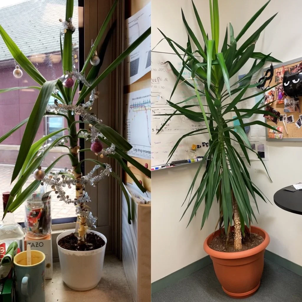 Our Team — Chio Laboratory