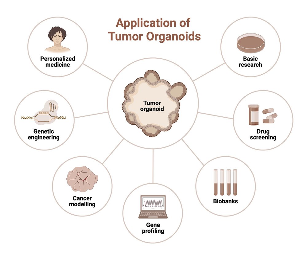 Our Toolbox — Chio Laboratory