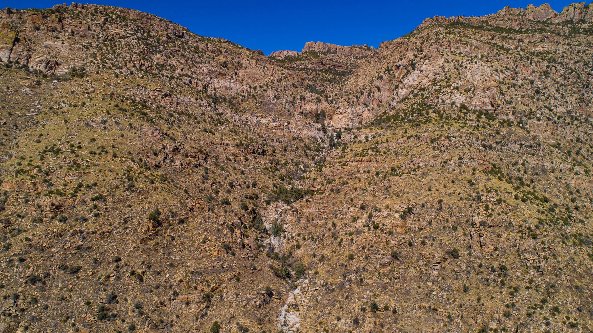 Arizona Adventures — Elevate The Media