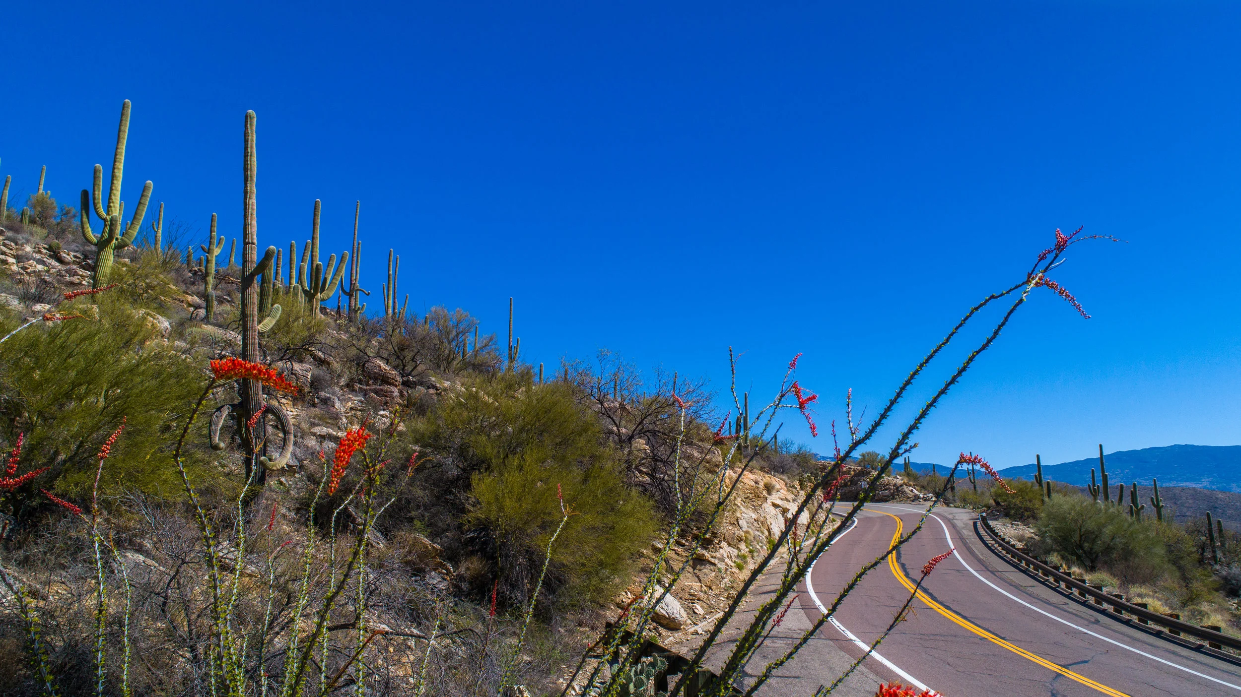 Arizona Adventures — Elevate The Media