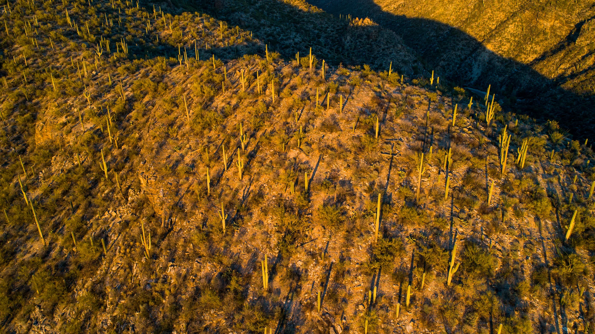 Arizona Adventures — Elevate The Media