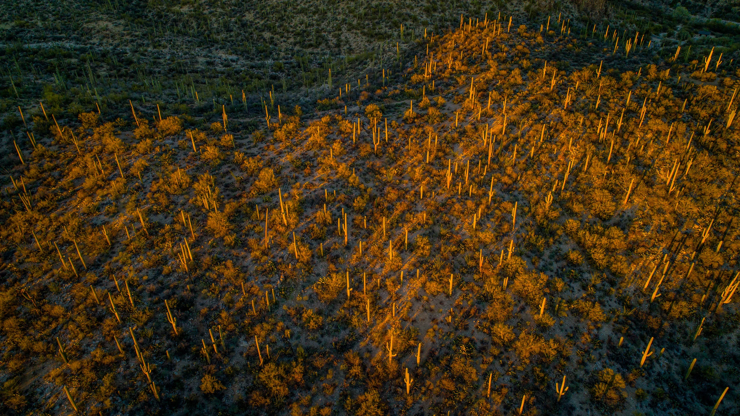 Arizona Adventures — Elevate The Media