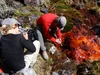 American Climber Science Program