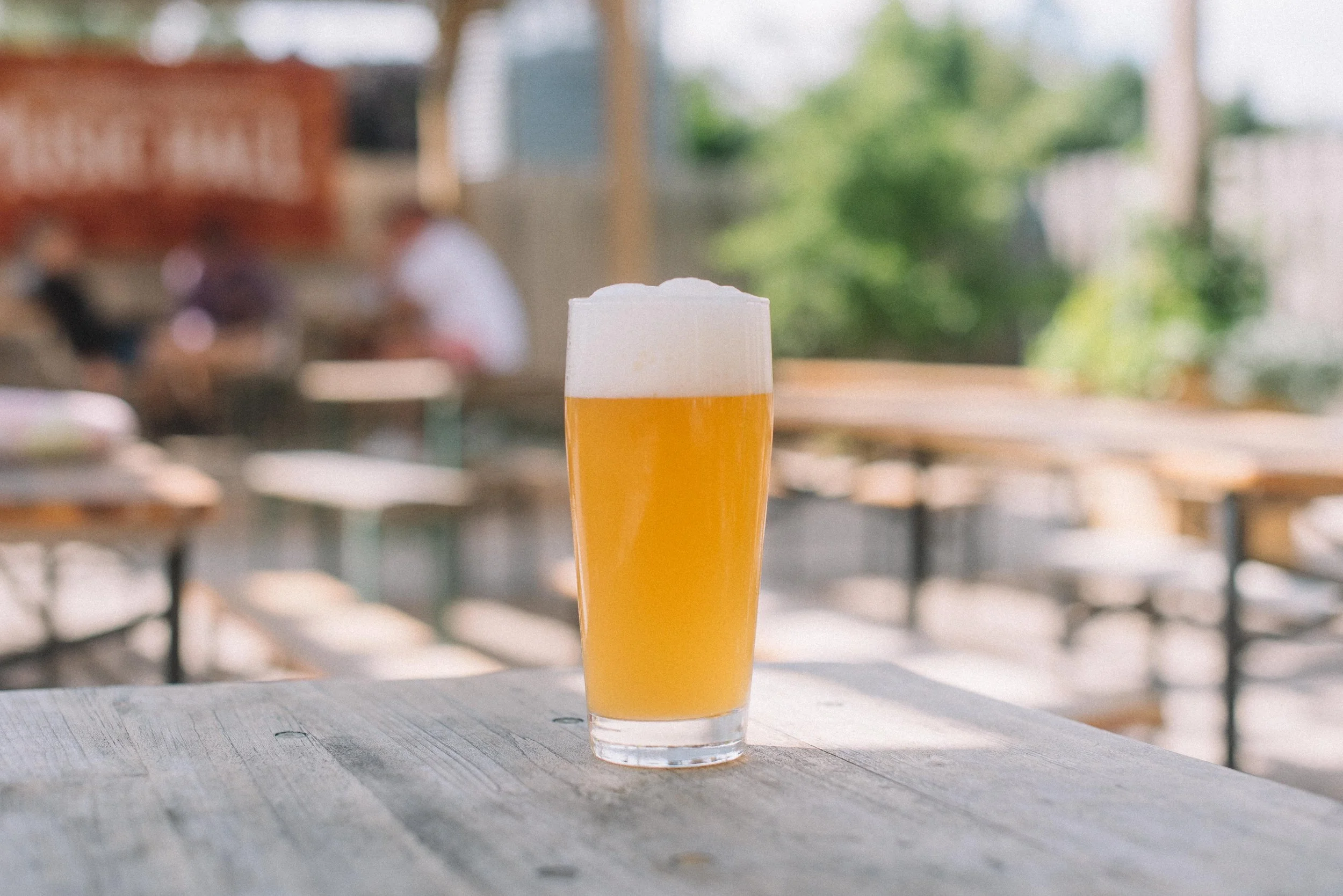 Home — Door County Brewing Co.