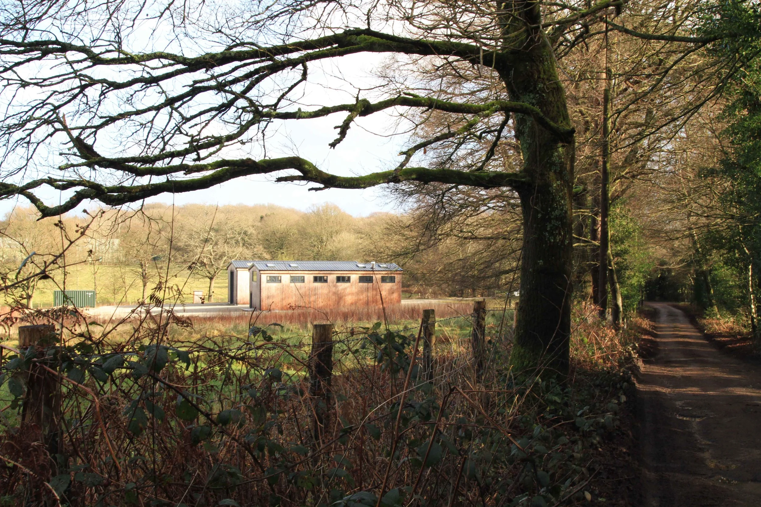 Reeves Transport Planning