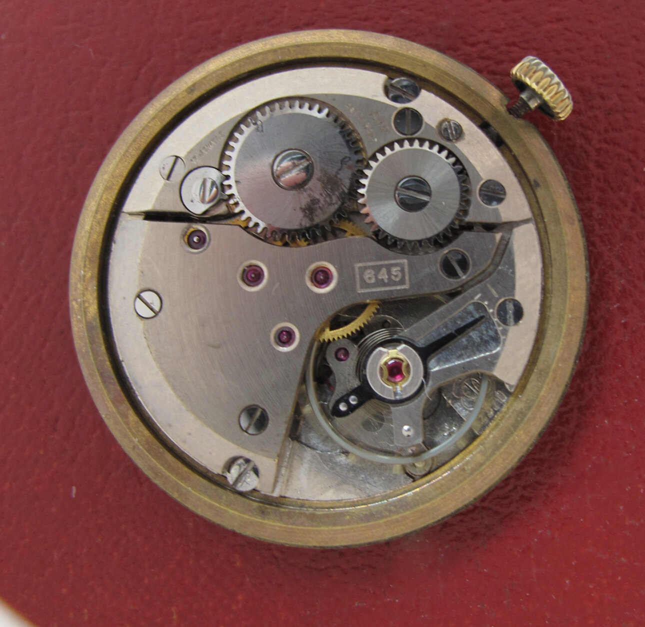 Rotary watch movement - candypsawe