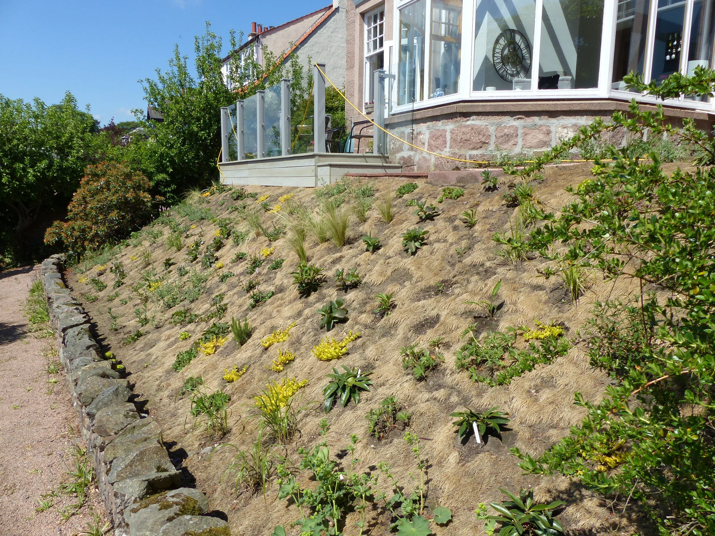 Planting On A Slope Or Steep Bank Heather Dale Garden Design