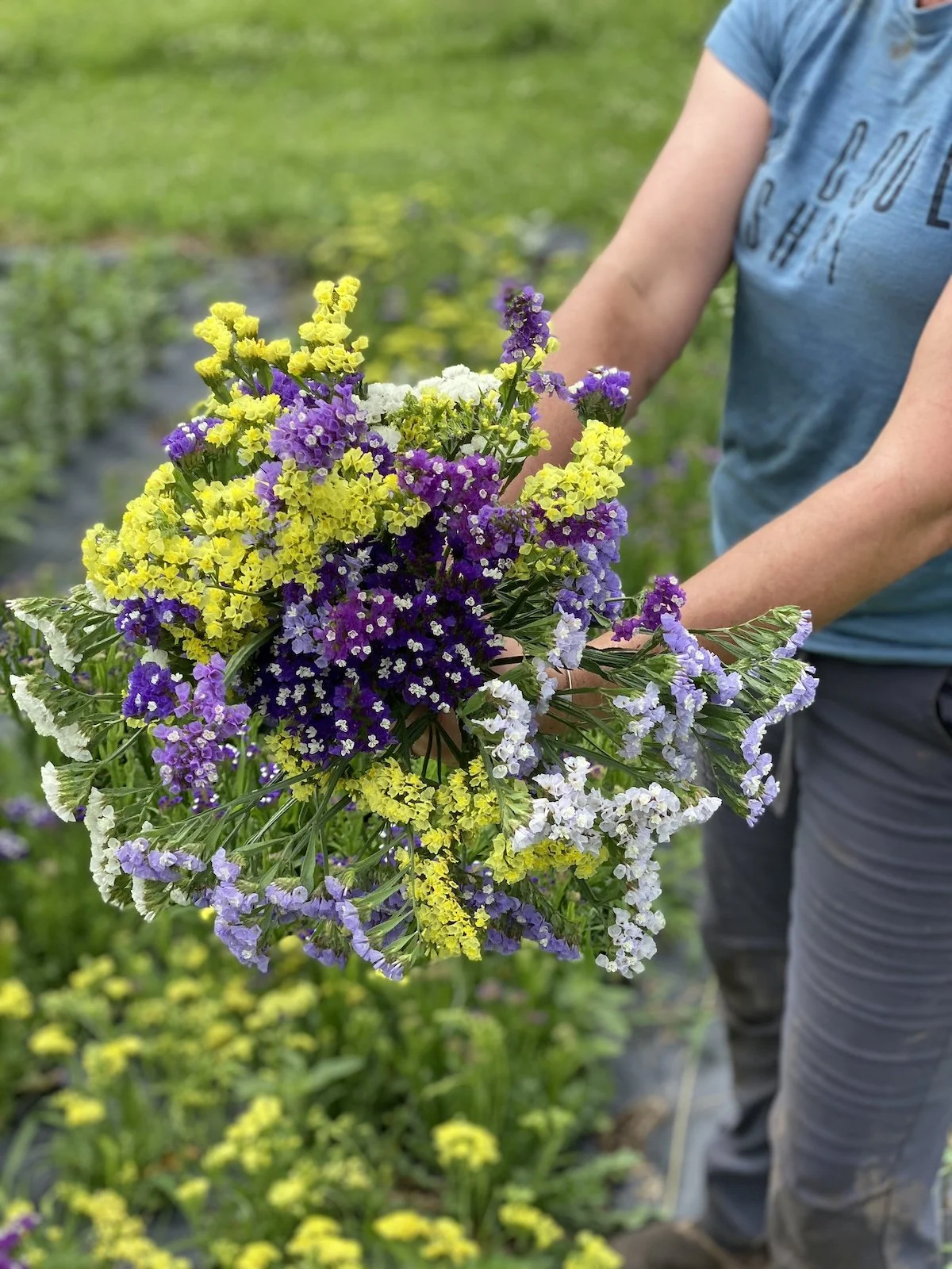 PepperHarrow Blog - Local Iowa Flower Farm — PepperHarrowBoutique Iowa ...