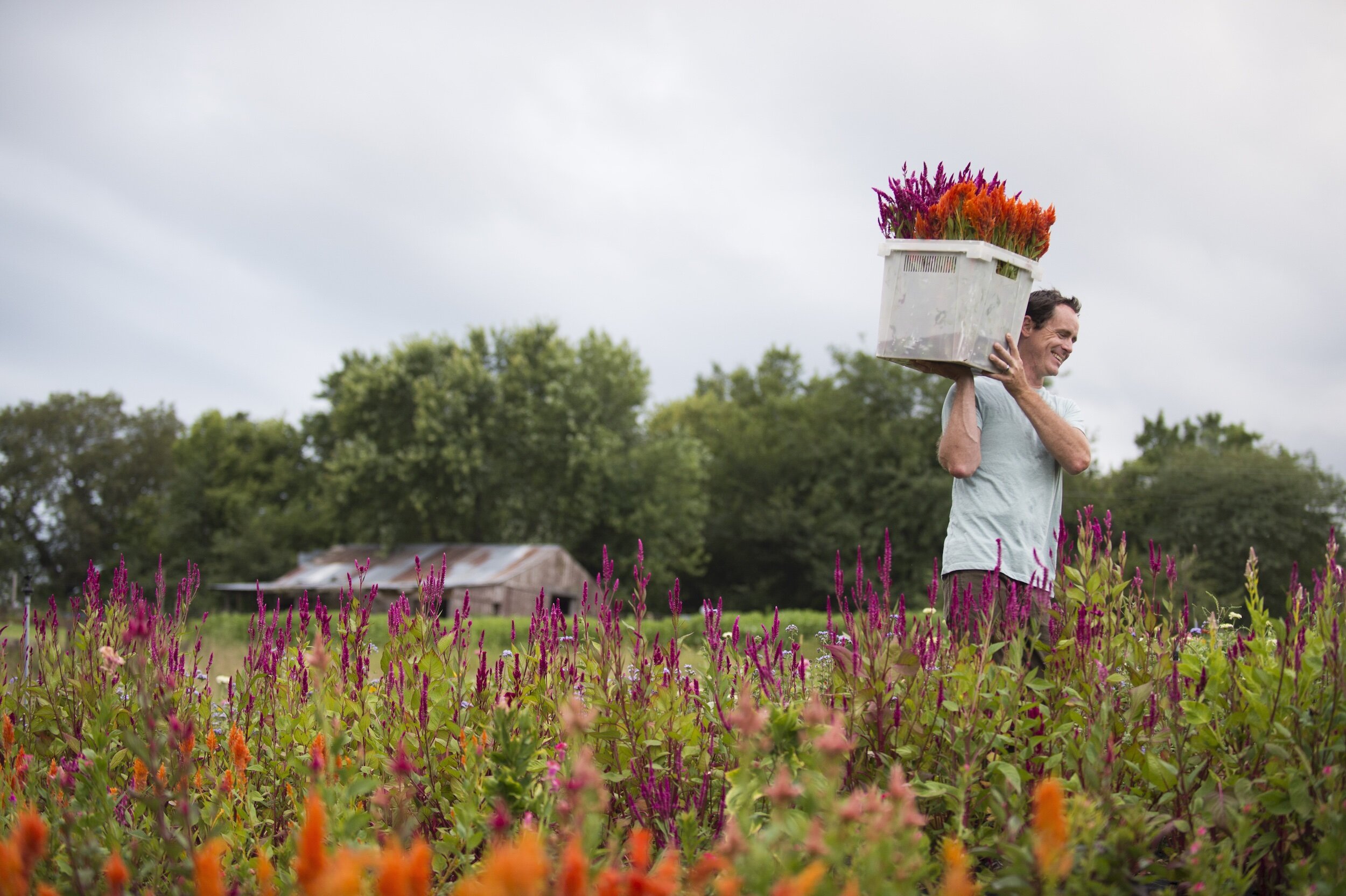 Iowa Flower Farm & Lavender Farm | PepperHarrow Farm