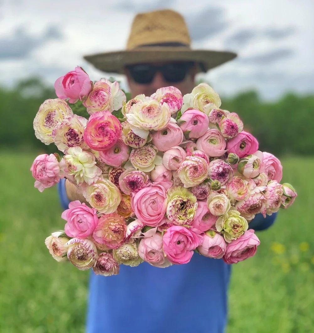 PepperHarrow — Iowa Lavender and Flower Farm