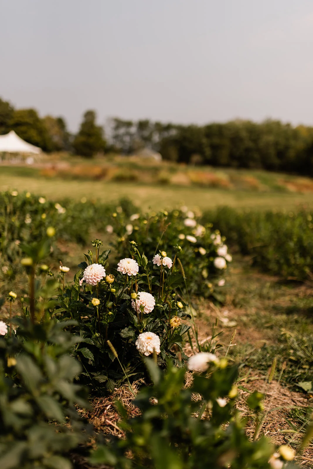 Event / Venue rental - Gallery — PepperHarrow