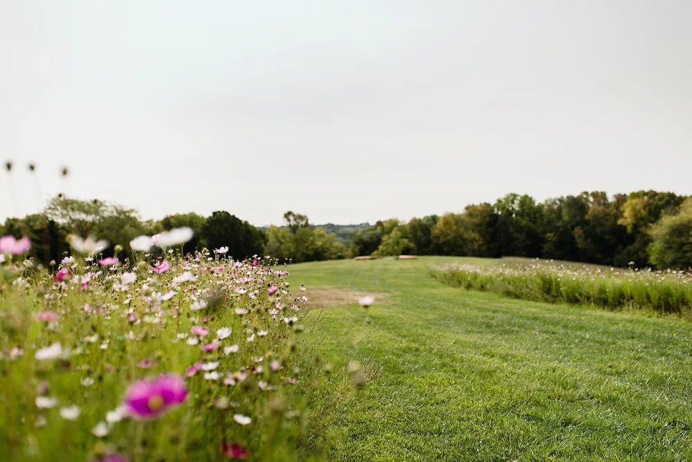 Iowa Flower Farm & Lavender Farm | PepperHarrow Farm