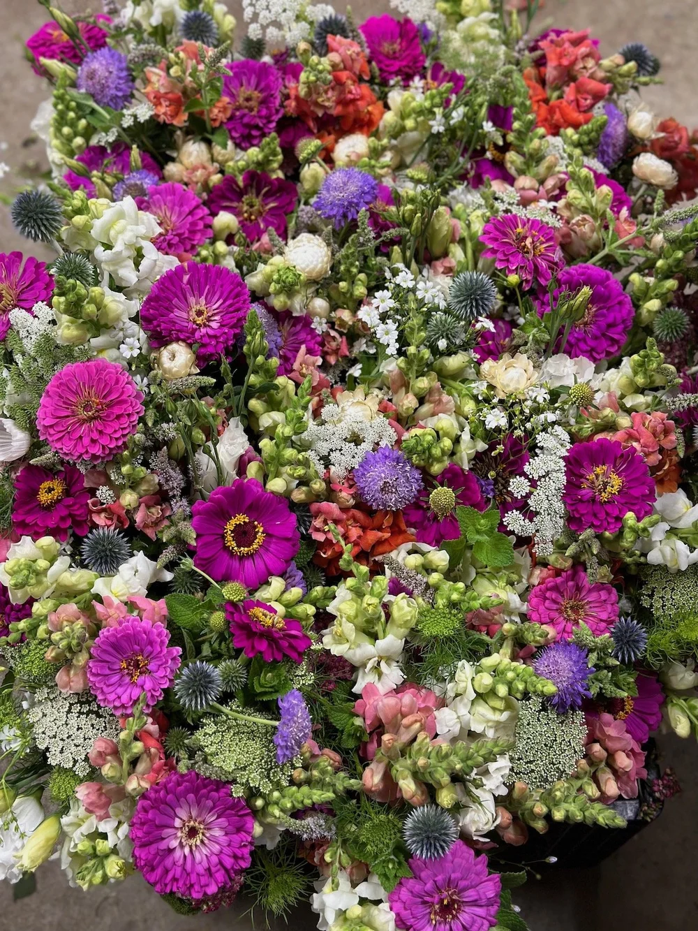 PepperHarrow Blog - Local Iowa Flower Farm — PepperHarrow