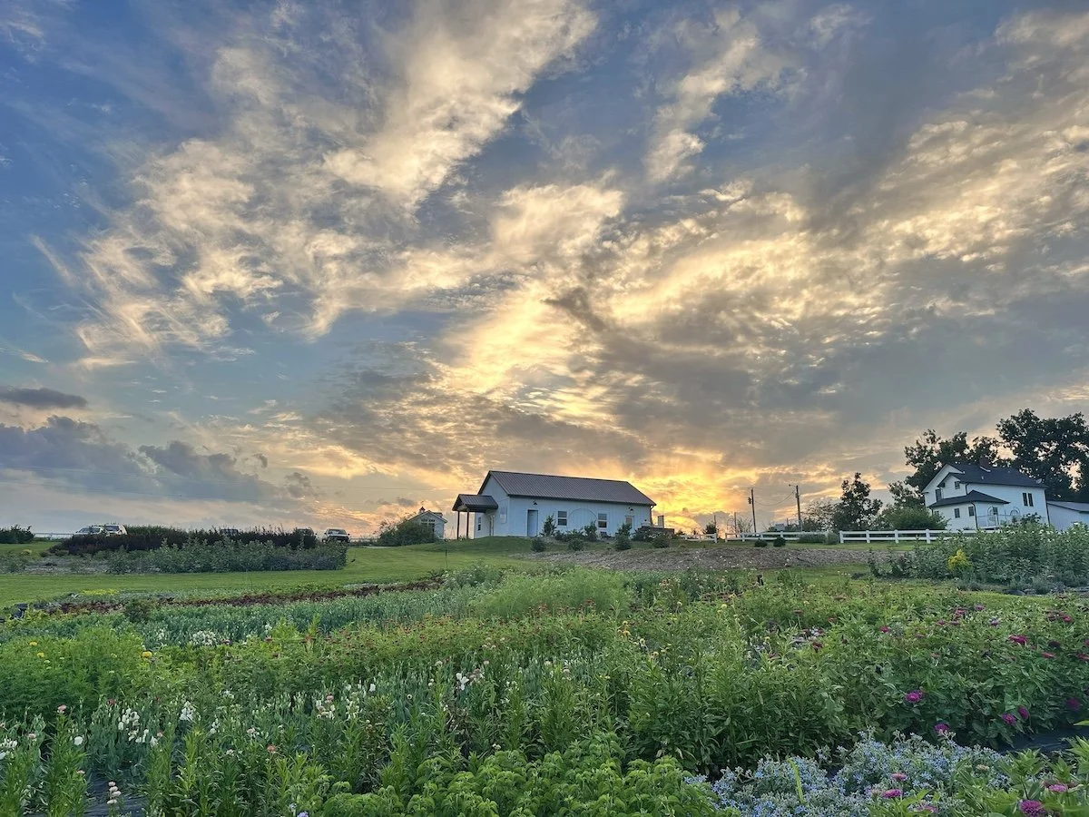Iowa Flower Farm & Lavender Farm | PepperHarrow Farm