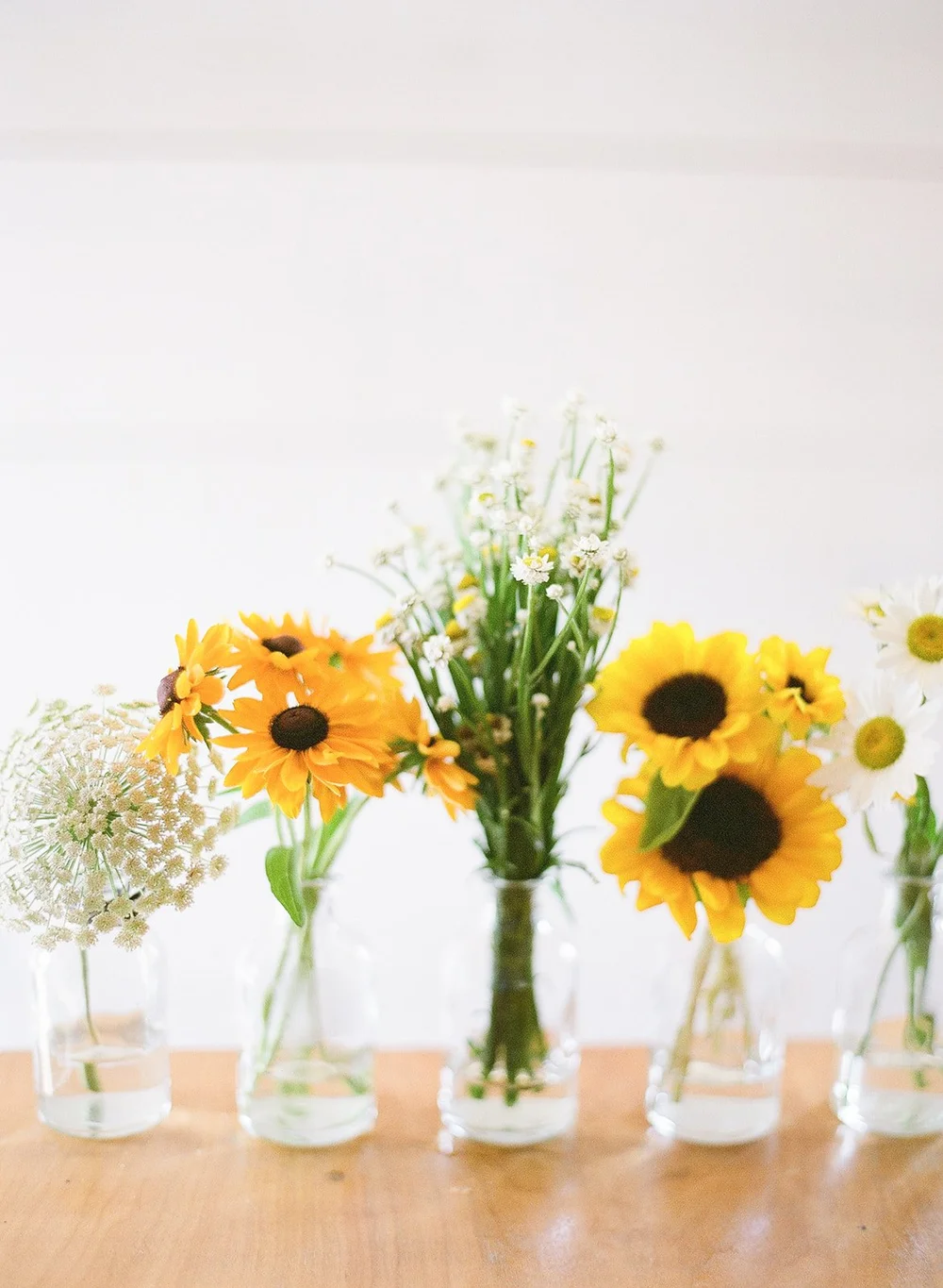 Iowa Flower Farm & Lavender Farm | PepperHarrow Farm