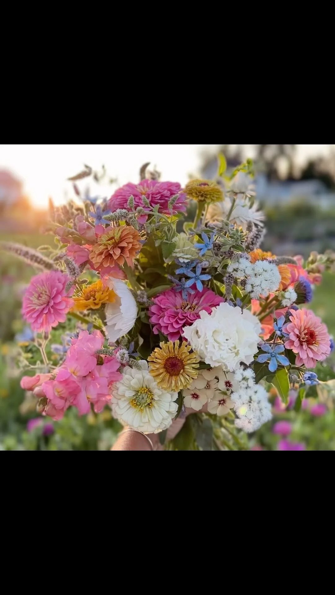 About PepperHarrow Flower Farm — PepperHarrowBoutique Iowa Flower Farm