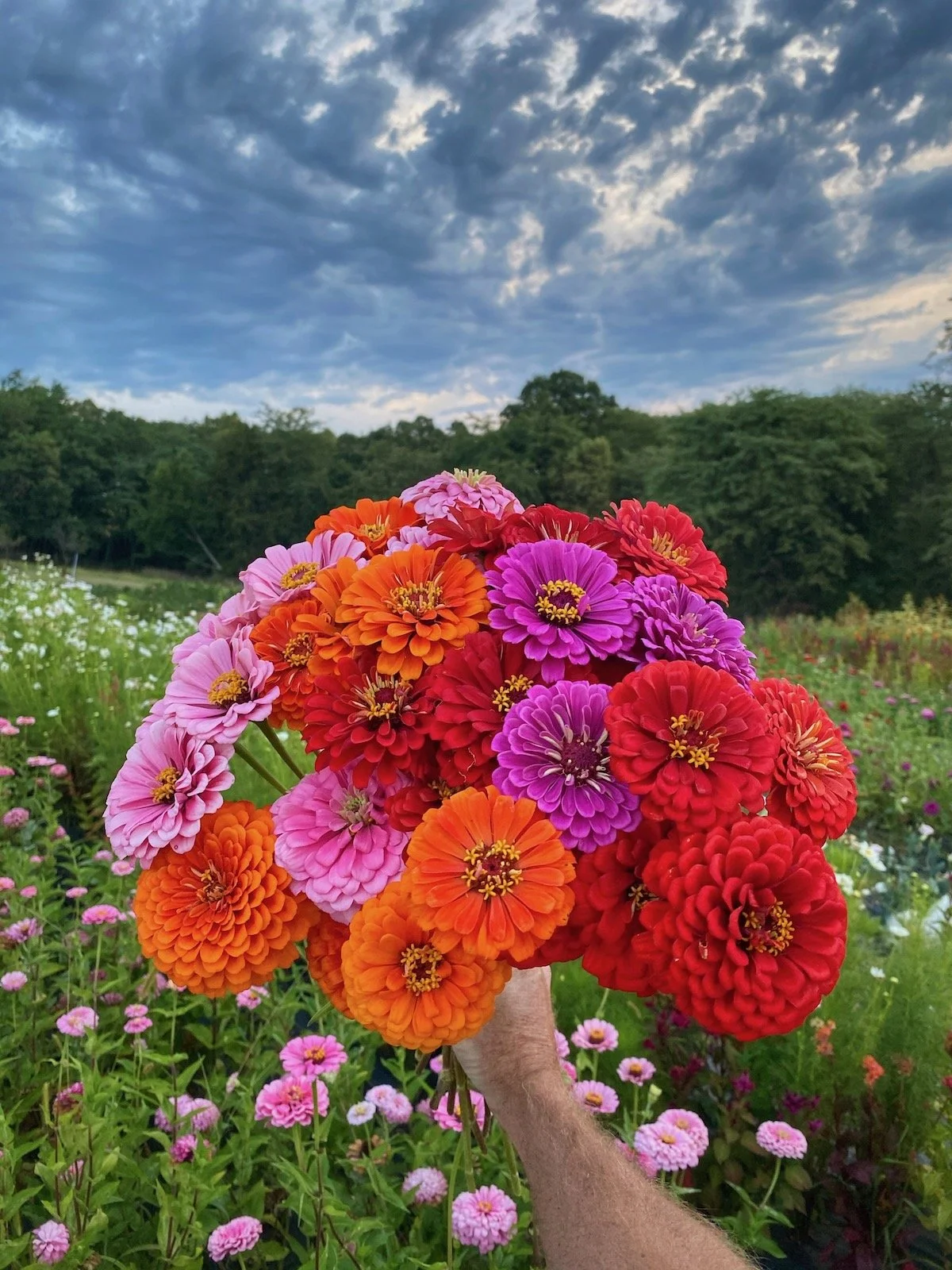 PepperHarrow Blog - Local Iowa Flower Farm — PepperHarrowBoutique Iowa ...