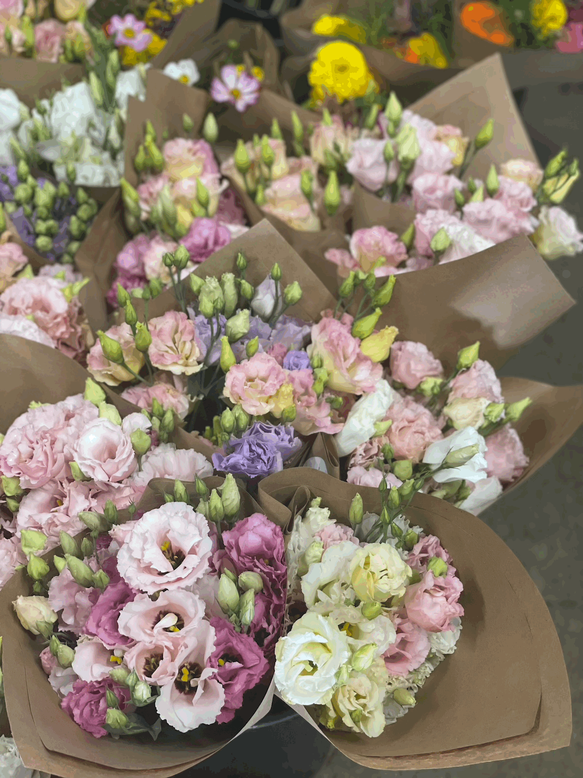 PepperHarrow Blog - Local Iowa Flower Farm — PepperHarrowBoutique Iowa ...
