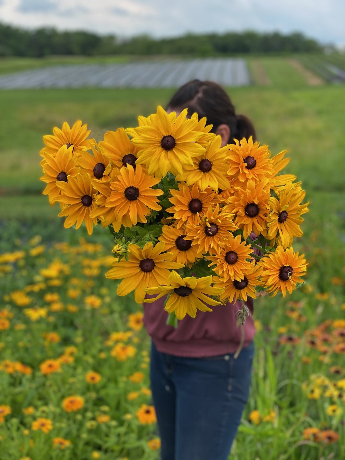 Iowa Flower Farm & Lavender Farm | PepperHarrow Farm
