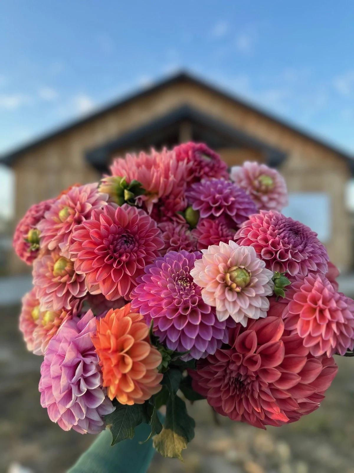 PepperHarrow Blog - Local Iowa Flower Farm — PepperHarrow