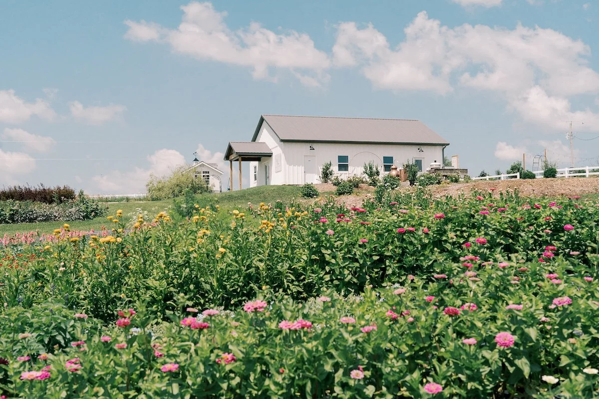 Iowa Flower Farm & Lavender Farm | PepperHarrow Farm