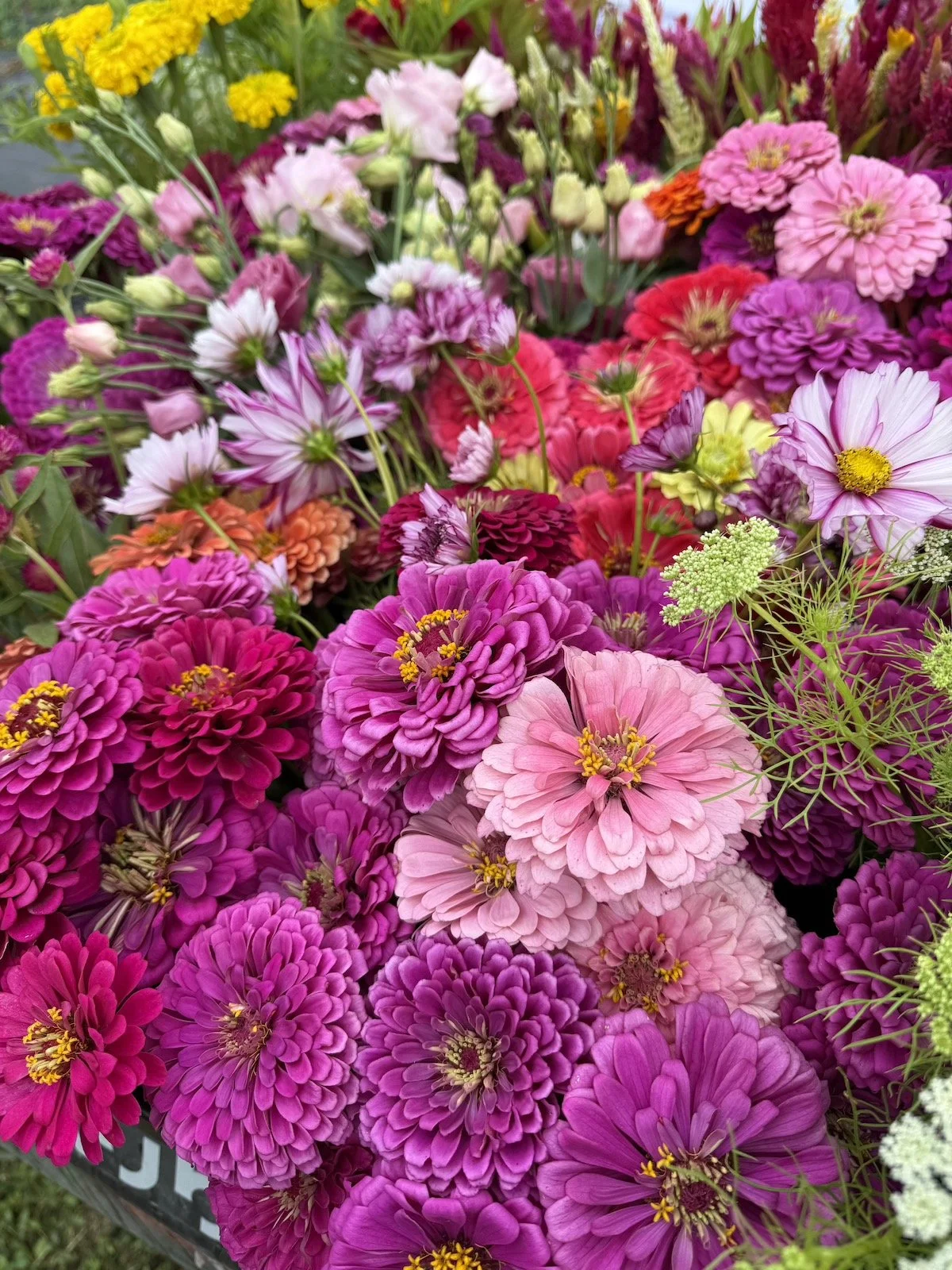 PepperHarrow — Boutique Iowa Flower Farm