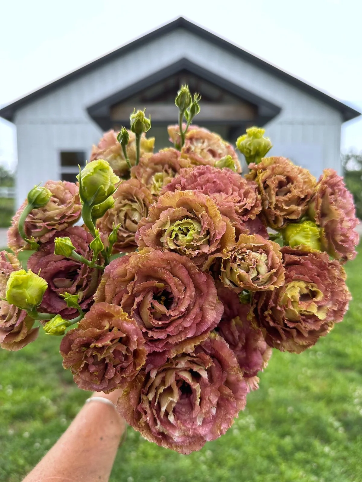 PepperHarrow Blog - Local Iowa Flower Farm — PepperHarrowBoutique Iowa ...