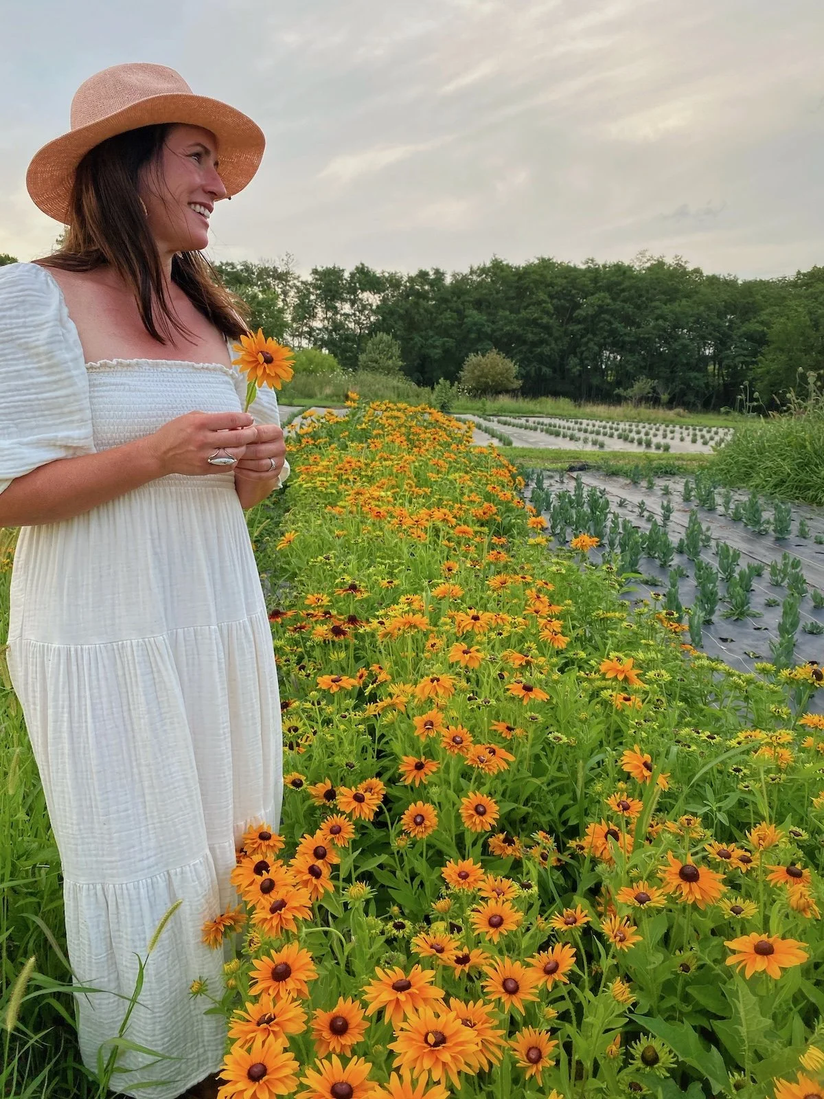 Iowa Flower Farm & Lavender Farm | PepperHarrow Farm