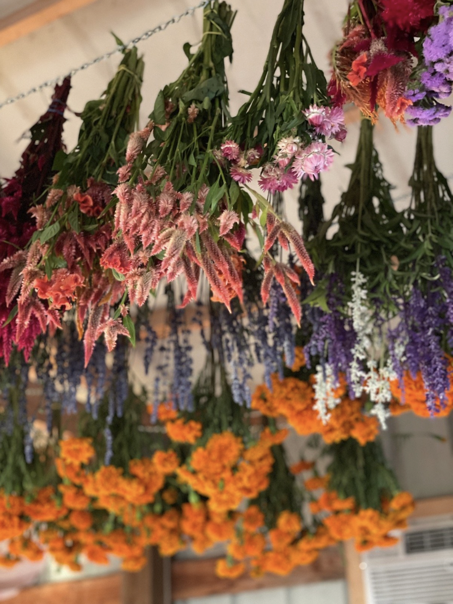 Iowa Flower Farm & Lavender Farm | PepperHarrow Farm