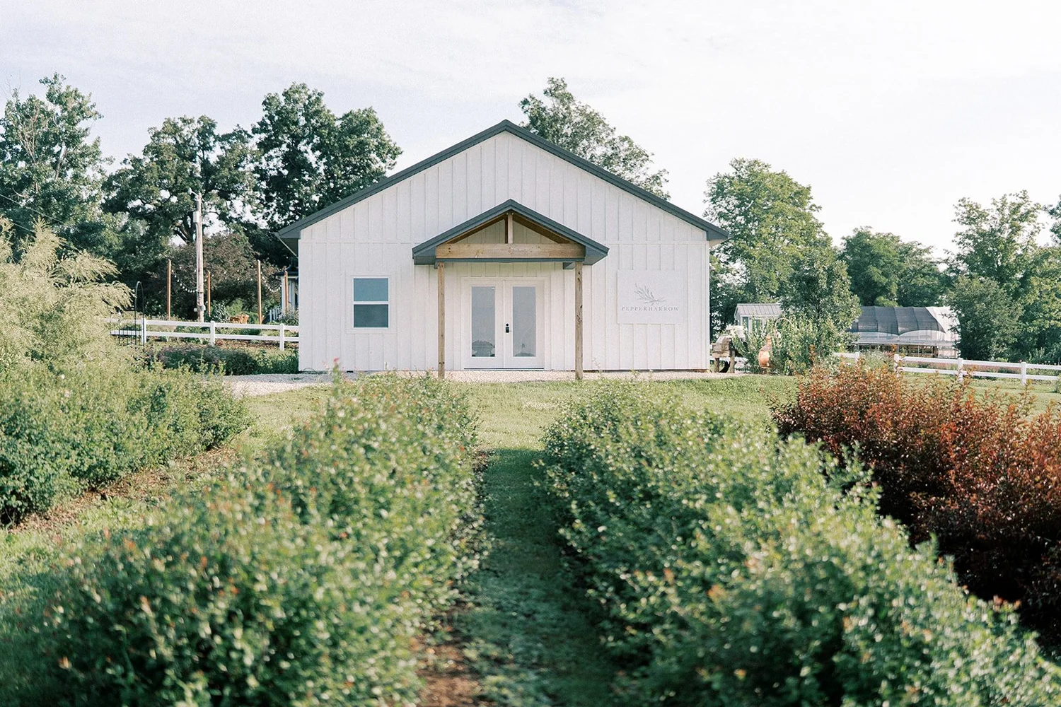 Iowa Flower Farm & Lavender Farm | PepperHarrow Farm