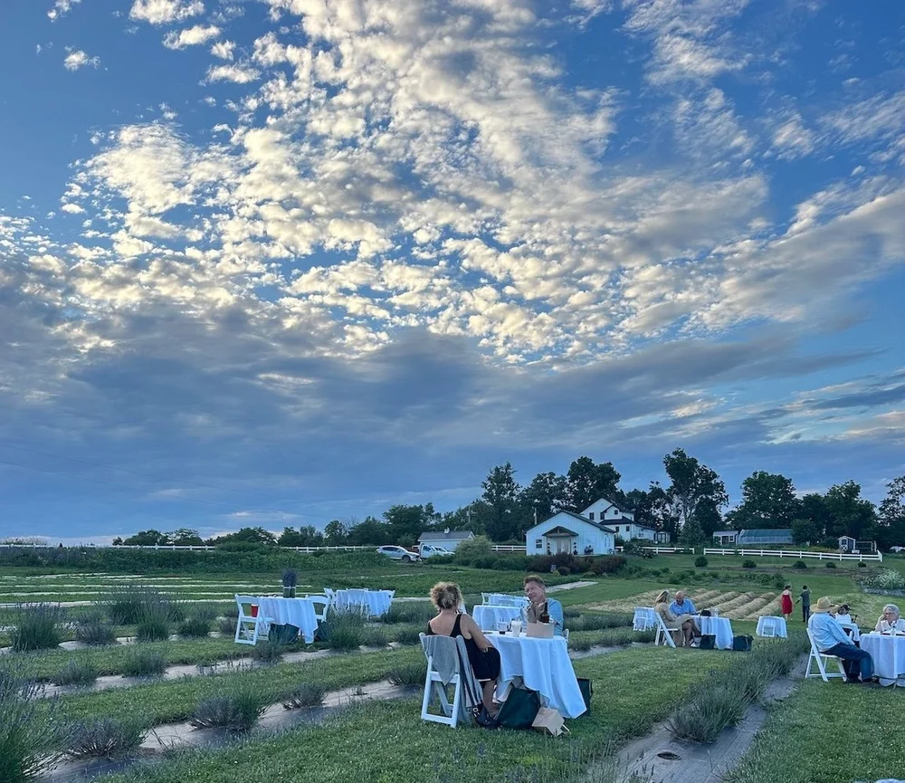Iowa Flower Farm & Lavender Farm | PepperHarrow Farm