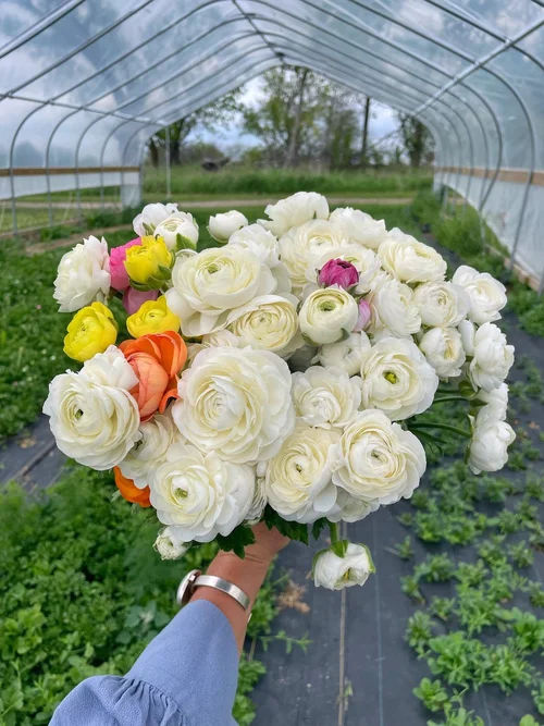 PepperHarrow Blog - Local Iowa Flower Farm — PepperHarrow